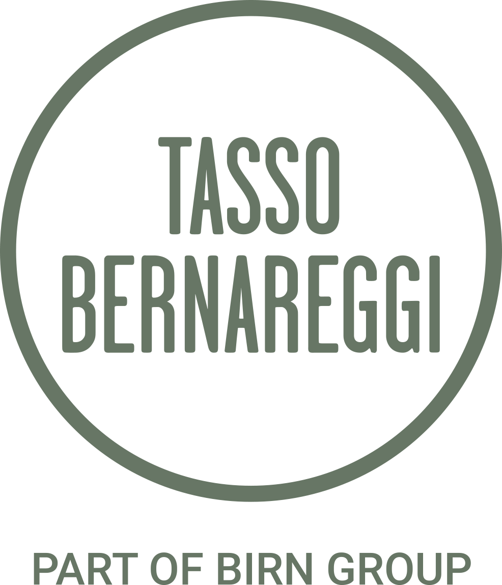 TASSO | Your Casting Development Partner